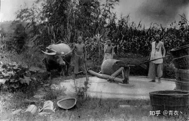 有没有什么民国的奇案？ - 知乎