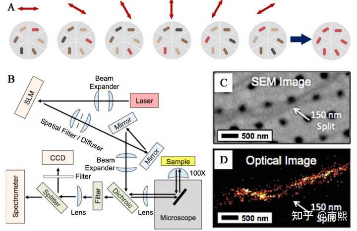 超分辨率显微镜的工作原理是什么？ - 知乎