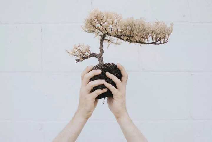 心理防线到底是什么意思？本质是什么？ - 知乎