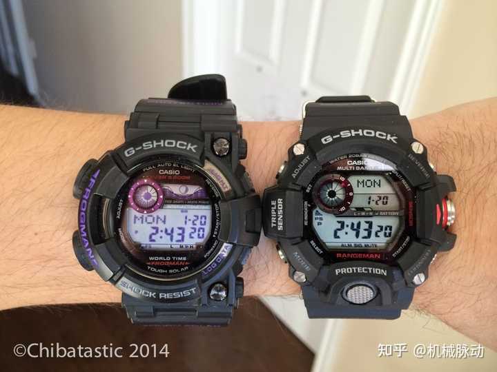 卡西欧g-shock蛙人和猫人怎么选？ - 知乎