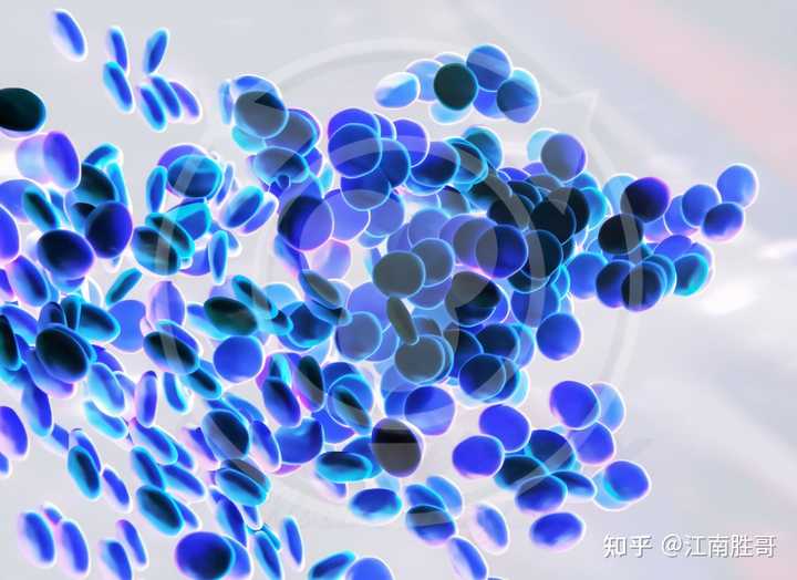 blue-blooded是贵族血统，为什么要用blue代表贵族？ - 知乎