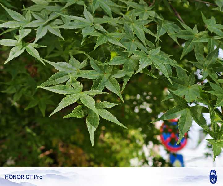 如何看待荣耀 GT Pro 价格 3699 元起？对友商会有什么影响？ - 知乎