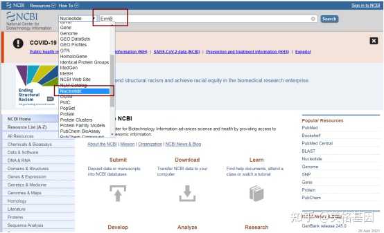 在文献中找到了一个基因的名字，去哪里找这个基因的序列呀？ - 知乎