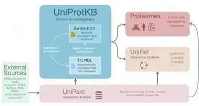 如何利用从Maxquant导出的数据对蛋白质谱结果进行作图？ - 知乎
