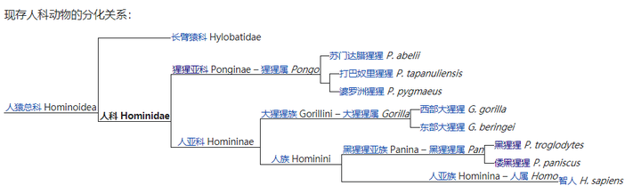 猩猩按生物学分类是人科吗？ 知乎