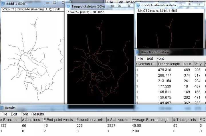 有哪些实用的ImageJ使用技巧？ - 知乎