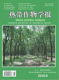 知乎盐选 | 椰子水化学组成及其影响因素