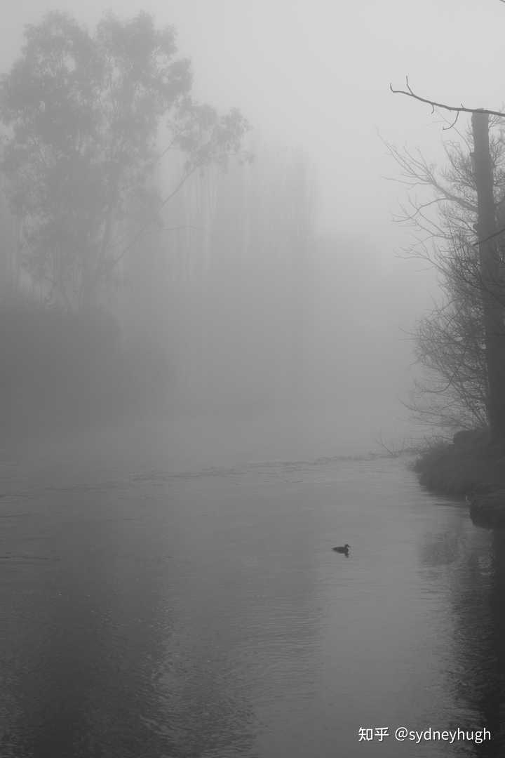 相机加镜头预算两万买哪个？尼康ZF/富士XT5/徕卡Q？ - 知乎