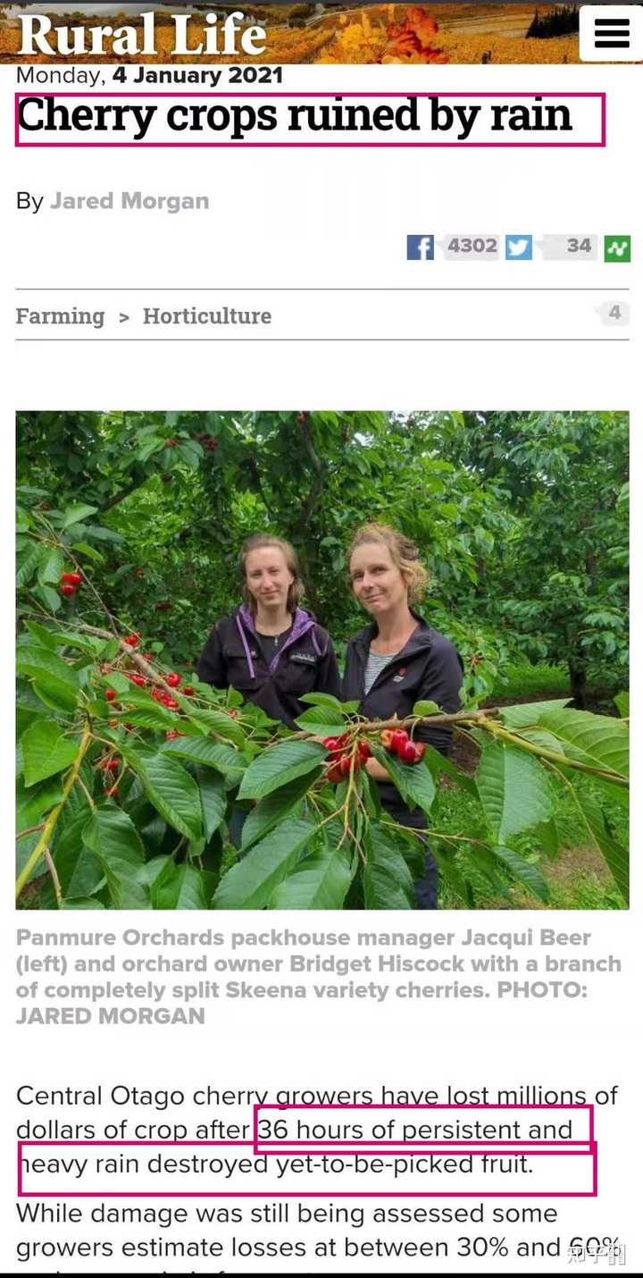 樱桃（车厘子）J级，JJ级，JJJ级，XL级代表什么意思？划分标准是？ - 知乎