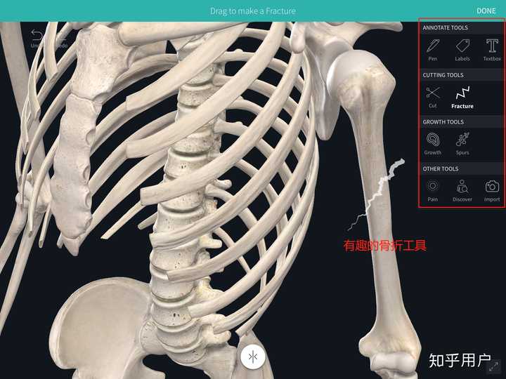 Complete Anatomy这款解剖学APP有人买过吗？和3D Body比怎么样？ - 知乎