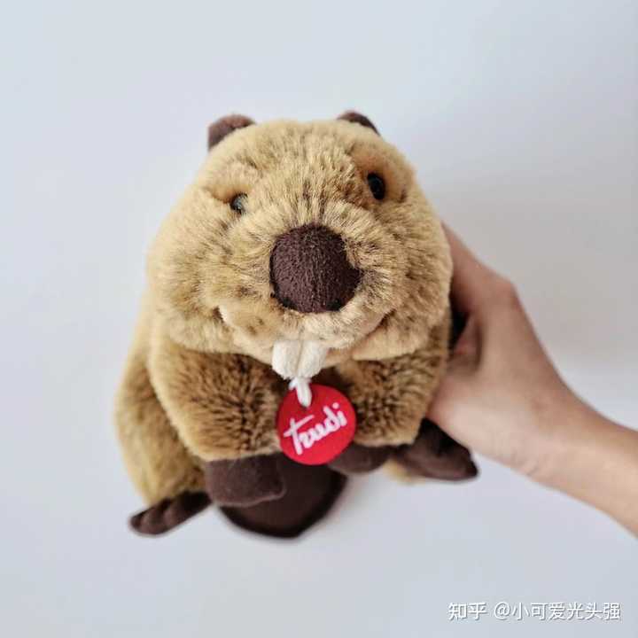 有哪些适合送女友的玩具？ - 知乎