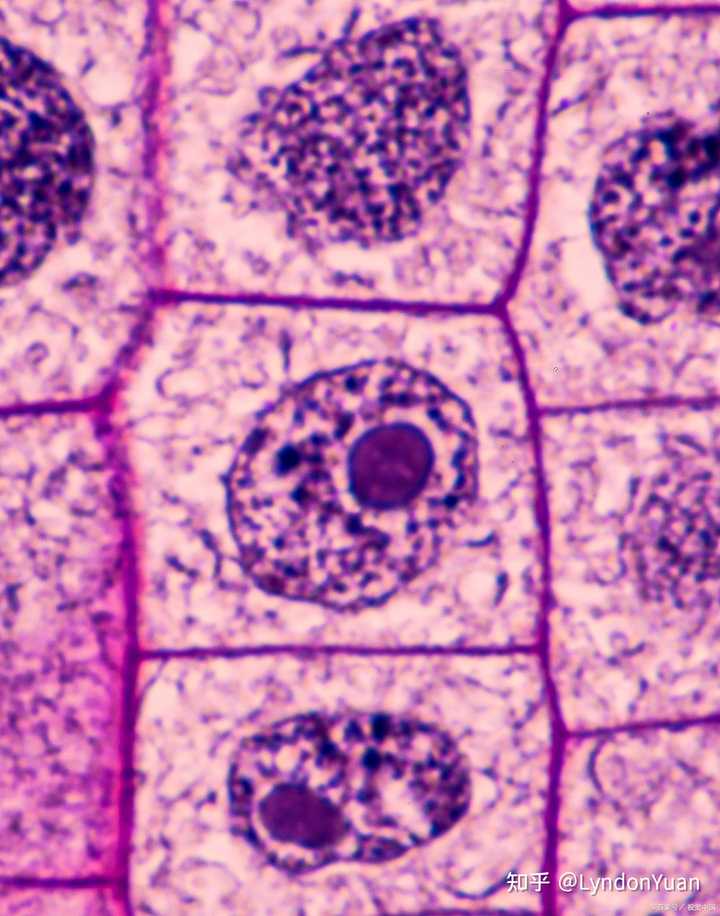 有人了解Rutgers的MQF, MSMF, FSRM 和 Ms in Data Science吗？ - 知乎