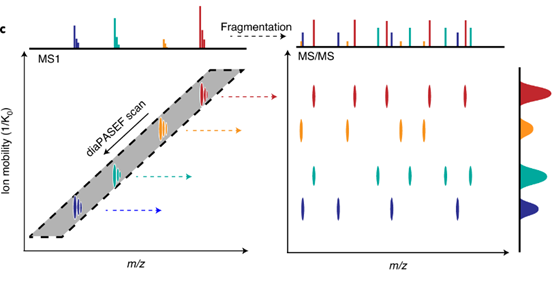 离子淌度与质谱——PASEF技术是什么？ - 知乎