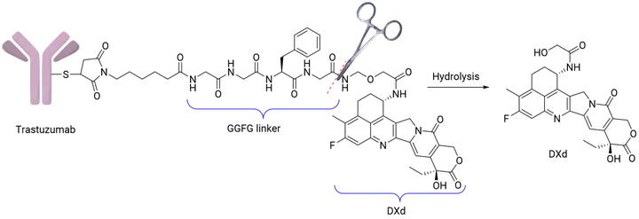 ADC的DAR值是什么，怎么检测？ - 知乎