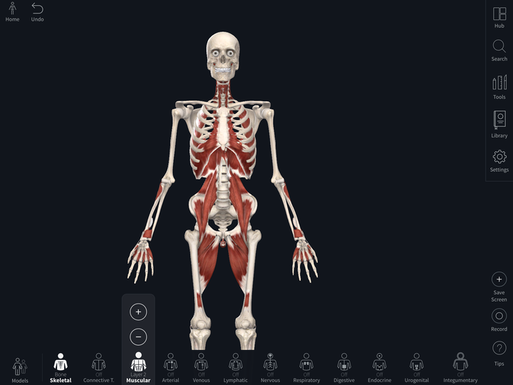 Complete Anatomy这款解剖学APP有人买过吗？和3D Body比怎么样？ - 知乎