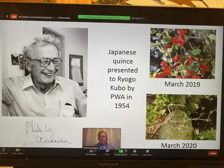 P. W. Anderson 在凝聚态物理领域有哪些贡献？他的物理直觉为何这么强？ - 知乎