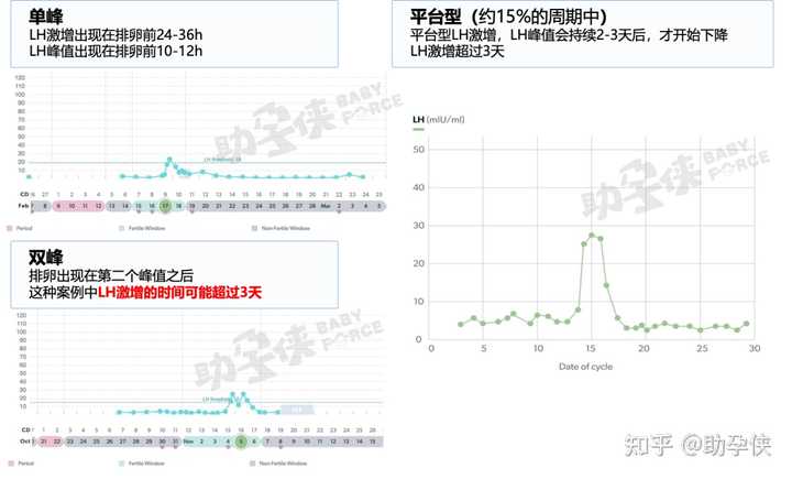 什么是促黄体生成素(LH,促黄体激素) ？ - 知乎