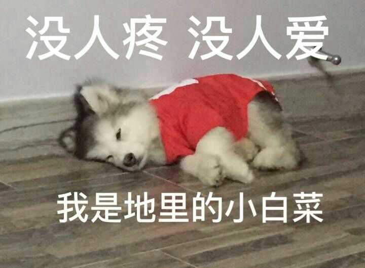 程序员有哪些专用的聊天表情包啊……？ - 知乎