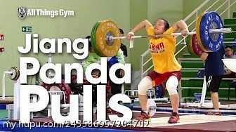 举重训练 什么是Snatch Pull/High Pull/Panda Pull/Fast Pull？ - 知乎