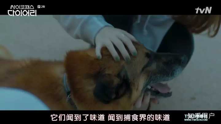 如何评价电视剧《精神变态日记》？ - 知乎