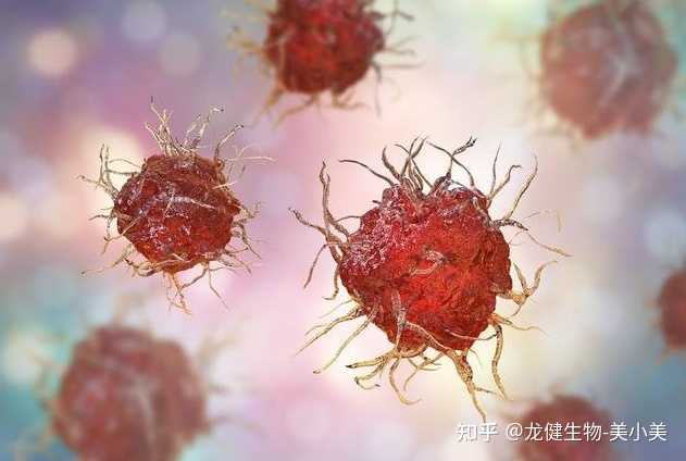 DC-CIK 细胞免疫疗法是真的吗？ - 知乎