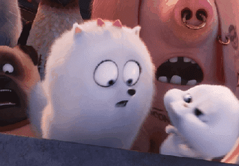 有哪些好玩的GIF动图？ - 知乎