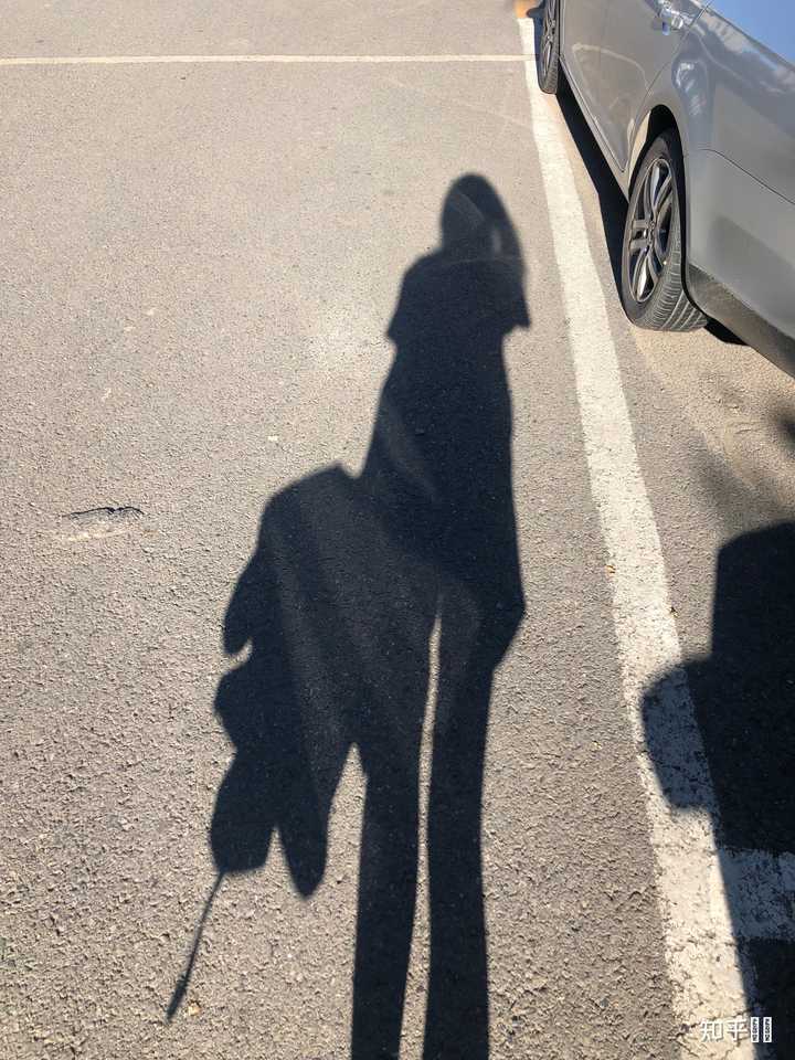 172+ 的高个子女生是一种什么样的感觉？ - 知乎