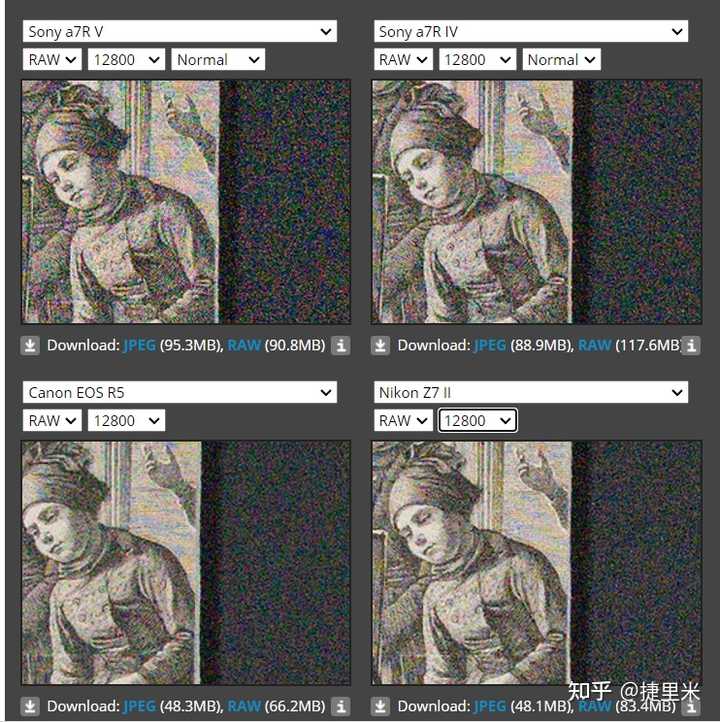 我的索尼A7r5画质反而不如之前的a7r4，明显细节不如之前，用的是同样的镜头，请问其他影友有感受吗? - 知乎