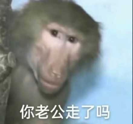 请问大家有没有猴子的表情包？ - 知乎