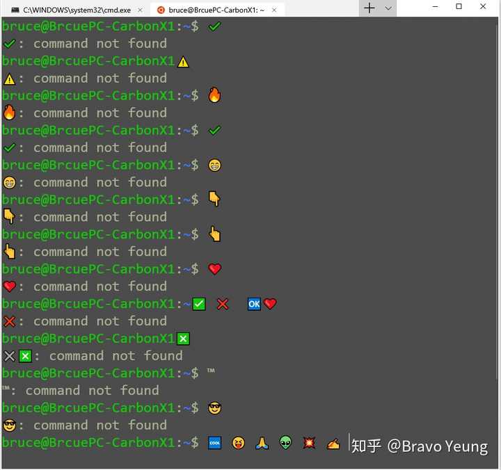 Windows下最漂亮的Terminal Emulator是什么？ - 知乎