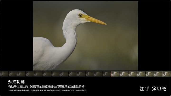 如何评价5月10号发布的尼康Z8微单相机？首发价格27999元，是否值得购买？ - 知乎