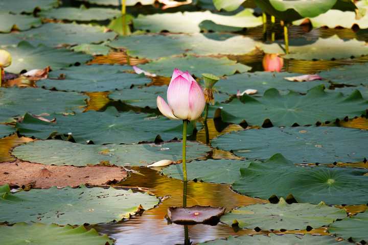 十几年前的佳能7D有必要换吗？ - 知乎