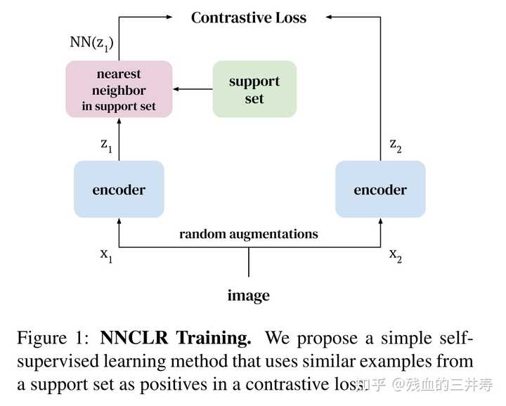 NNCLR这篇文章，究竟用的是infoNCE loss还是预测的MSE loss啊？ - 知乎