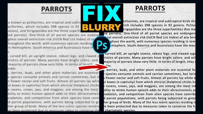 如何可以将一张照片上模糊的字变清晰？ - 知乎