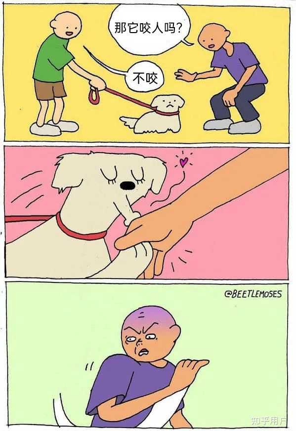 你看过的最有意思的meme、梗图有哪些? - 知乎