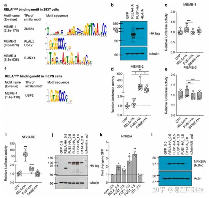 做chip seq的公司有推荐吗？ - 知乎