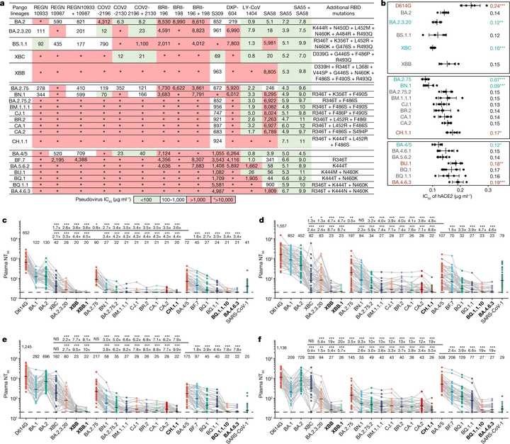 如何评价新冠病毒单克隆中和抗体SA55/SA58? - 知乎