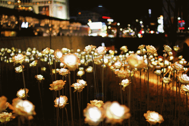 有哪些建筑在设计上做到了与周边环境的和谐互动？ - 知乎