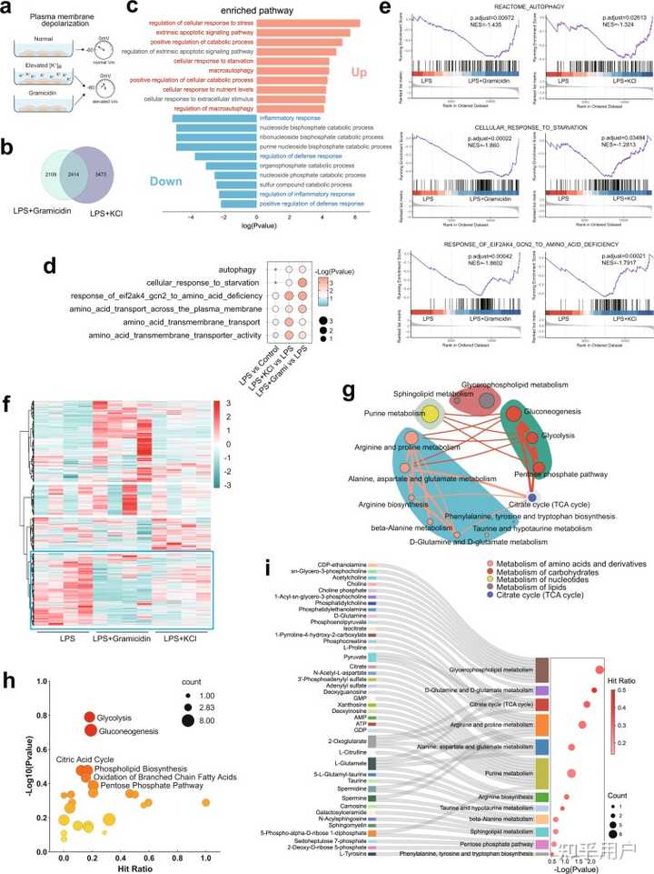 如何评价近期发布的 Hiplot 科研数据可视化平台？ - 知乎