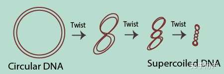 DNA纯度怎么看呀，求大佬解答? - 知乎