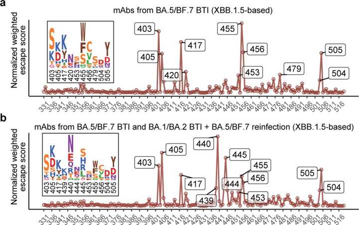 如何评价新冠病毒单克隆中和抗体SA55/SA58? - 知乎