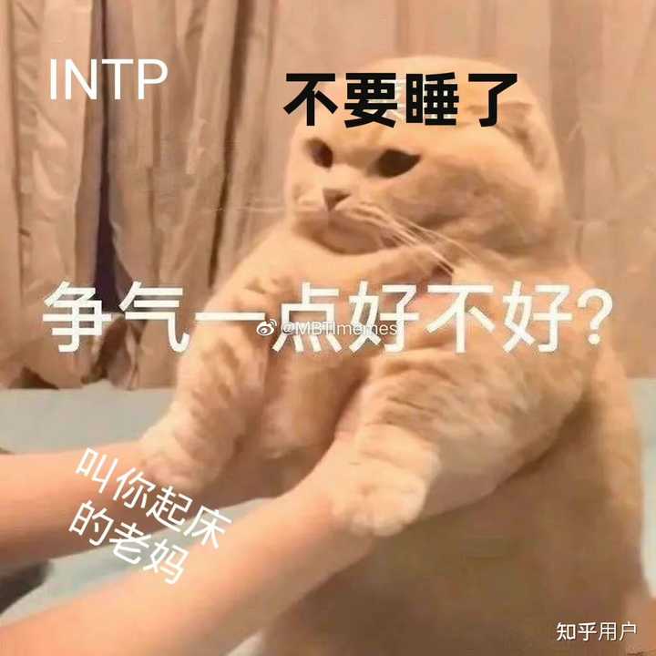 INTP和ISTP有什么区别？ - 知乎