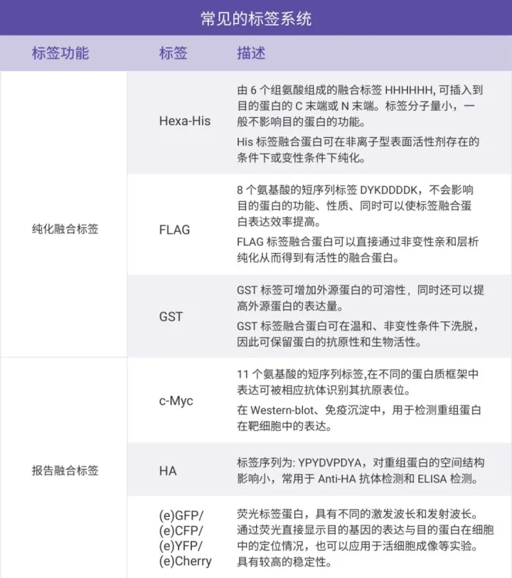如何选择重组蛋白，蛋白标签有什么用？ - 知乎
