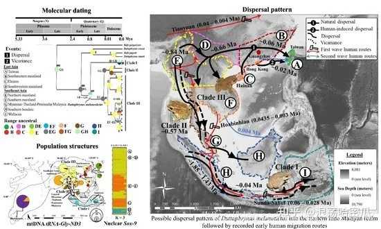如何制作高质量的Graphical Abstract？ - 知乎