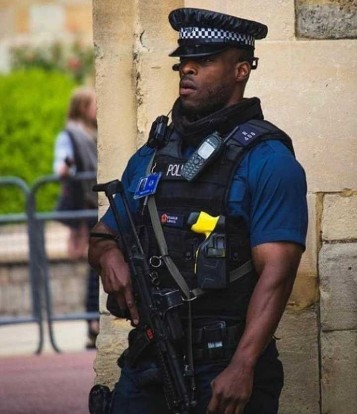 英国皇室成员全国范围的护卫任务是由哪些机构负责的？ - 知乎