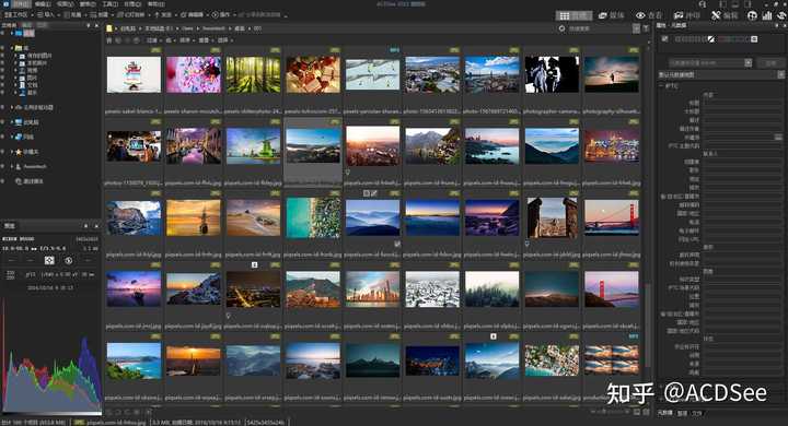 你们觉得ACDSee的哪个版本是最好用的？ - 知乎