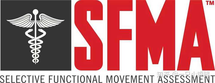 FMS、SFMA 功能性动作筛查如何自学考试？ - 知乎