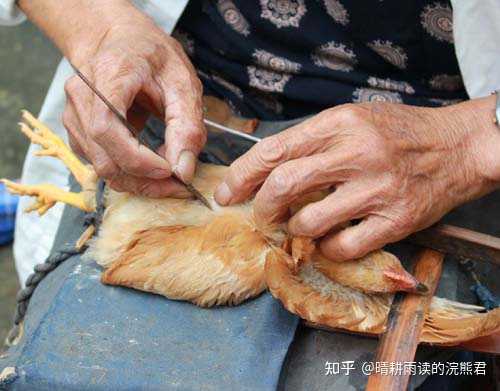 太监制度是否是中国古代特有的制度？ - 知乎