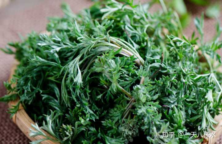 白蒿的正确吃法是什么？ - 知乎
