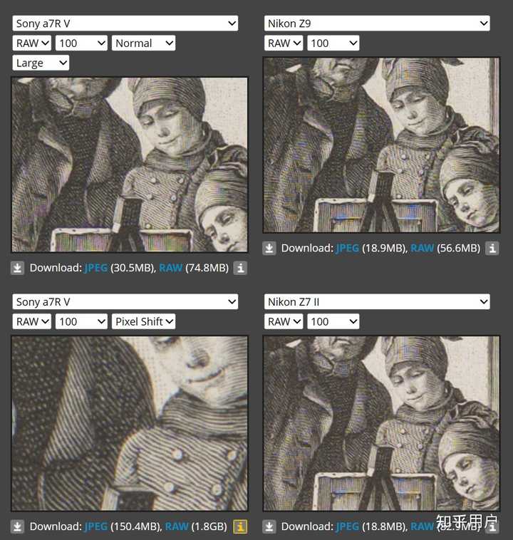 2023下半年，是买nikon z8还是sony a7r5？ - 知乎